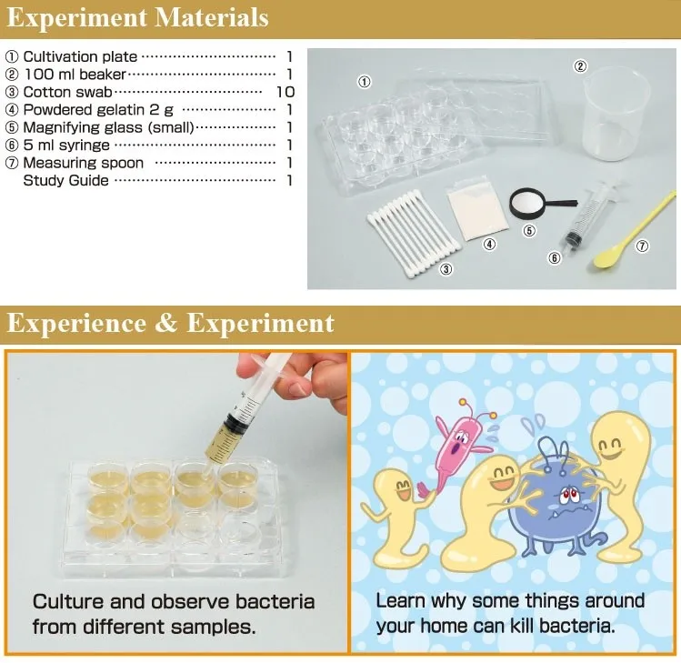 Fun Bacteria Experiment Kit - Kids Science Set