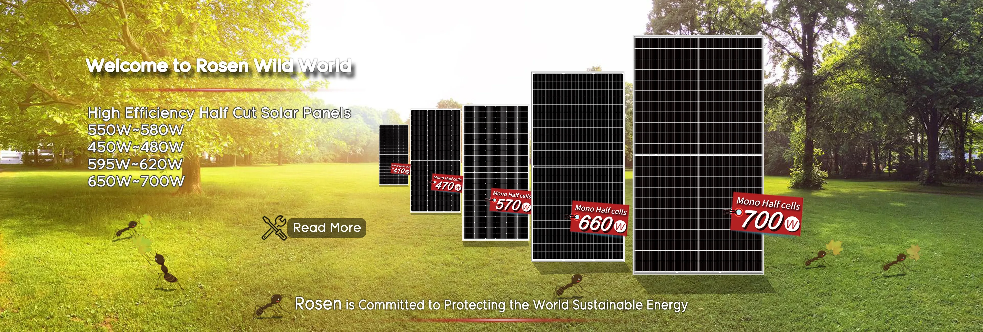 Rosen Solar Energy Co., Ltd. - Solar Panel, Solar System