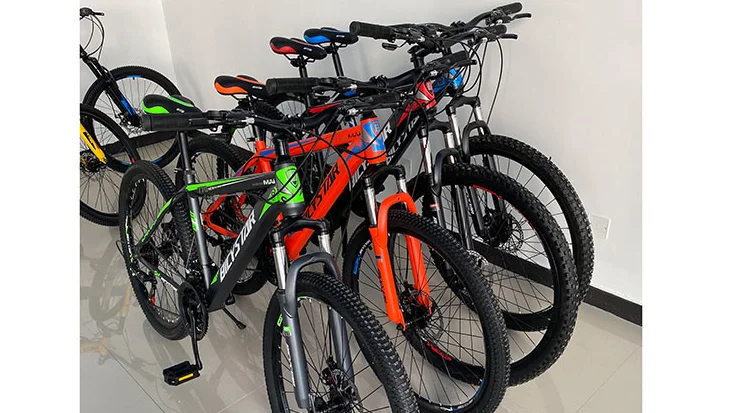 2020 Xds Mountain Bike New Product Front And Rear Disc Brake Mountain ...