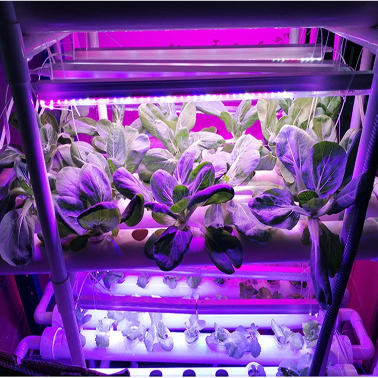 DIY NFT 3 Layer Hydroponics System - Indoor Gardening