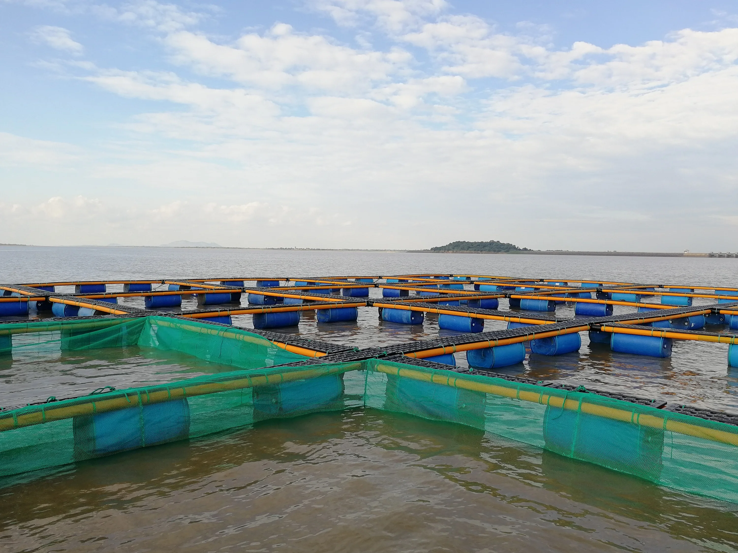 8mx8m Aquaculture Square Cage Fish Trap for Sale - Durable & Efficient