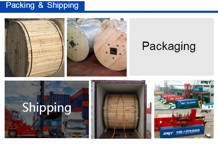 Galvanized Steel Earth Wire GSW for ASTMA475 Standard