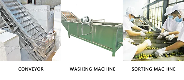 High Efficiency Commercial Fruit Drying Machines/dried Fruits ...