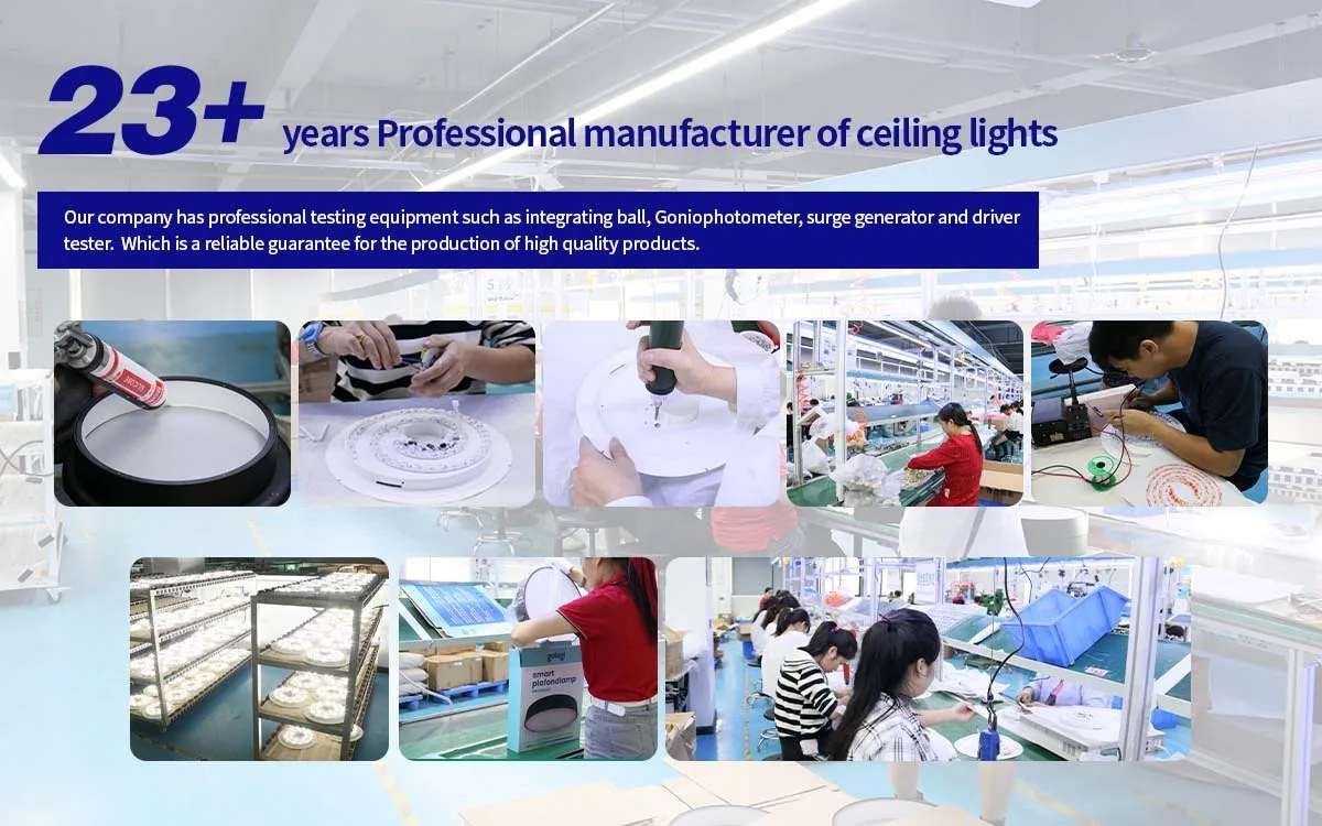 Vertex Lighting And Electrical Co., Ltd. - Ceiling Light, LED Downlight