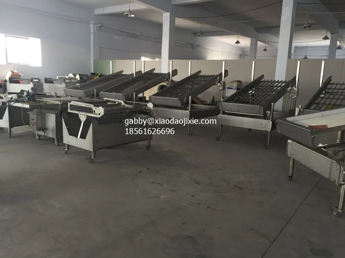 Automatic blueberry sorting machine, blueberry sorter machine,blueberry harvester processing ...