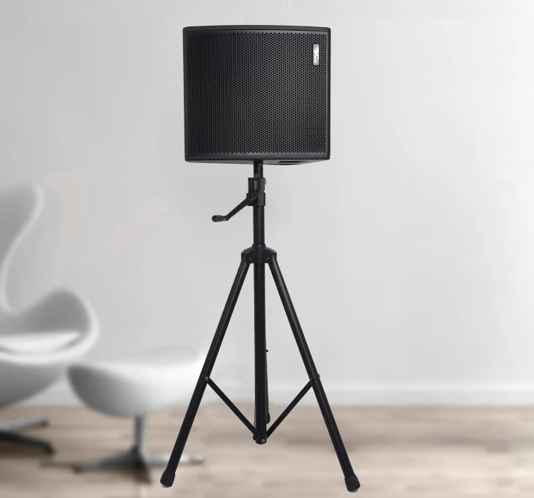 C15 Stage Professional Speaker - 15 Inch Coaxial Monitor