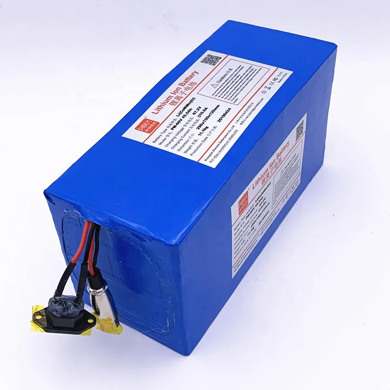16s Lifepo4 48v Battery Pack for Electric Scooters