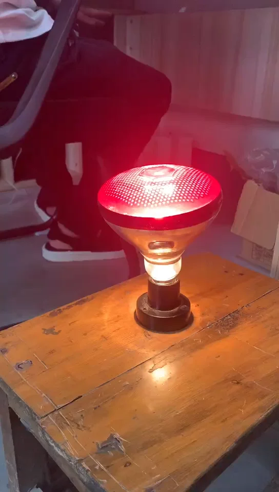 Halogen Red Infrared Medical Physical Therapy Heating Bulbs Light Lamp ...