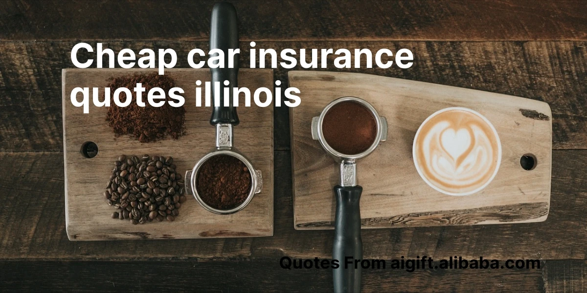 100+ Cheap Car Insurance Quotes in Illinois | Save Big Today