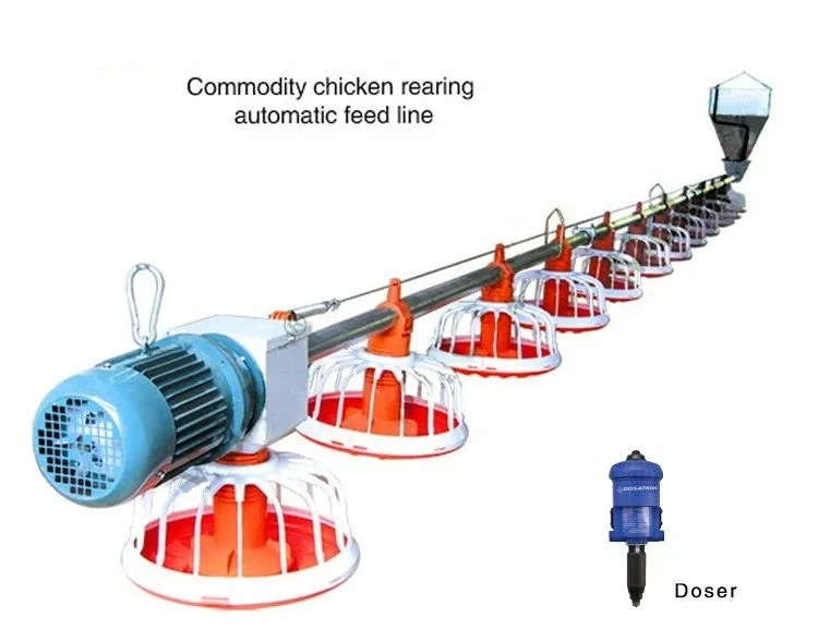 Livestock Equipment - Automatic Poultry Chain Feeding Line System by ...