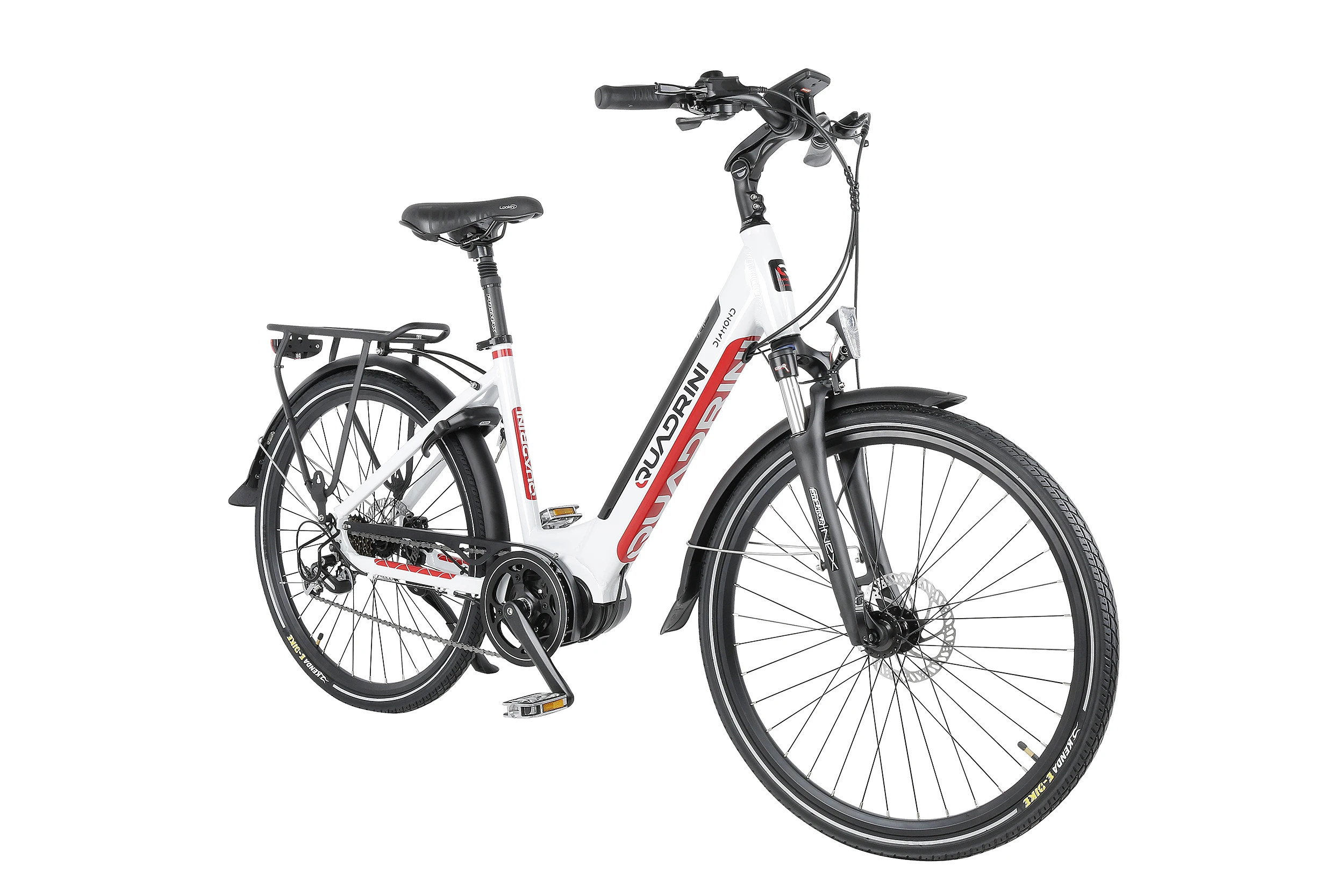 PETRIGO 36V 250W Electric Bike with Lithium Battery - Durable Commuting ...