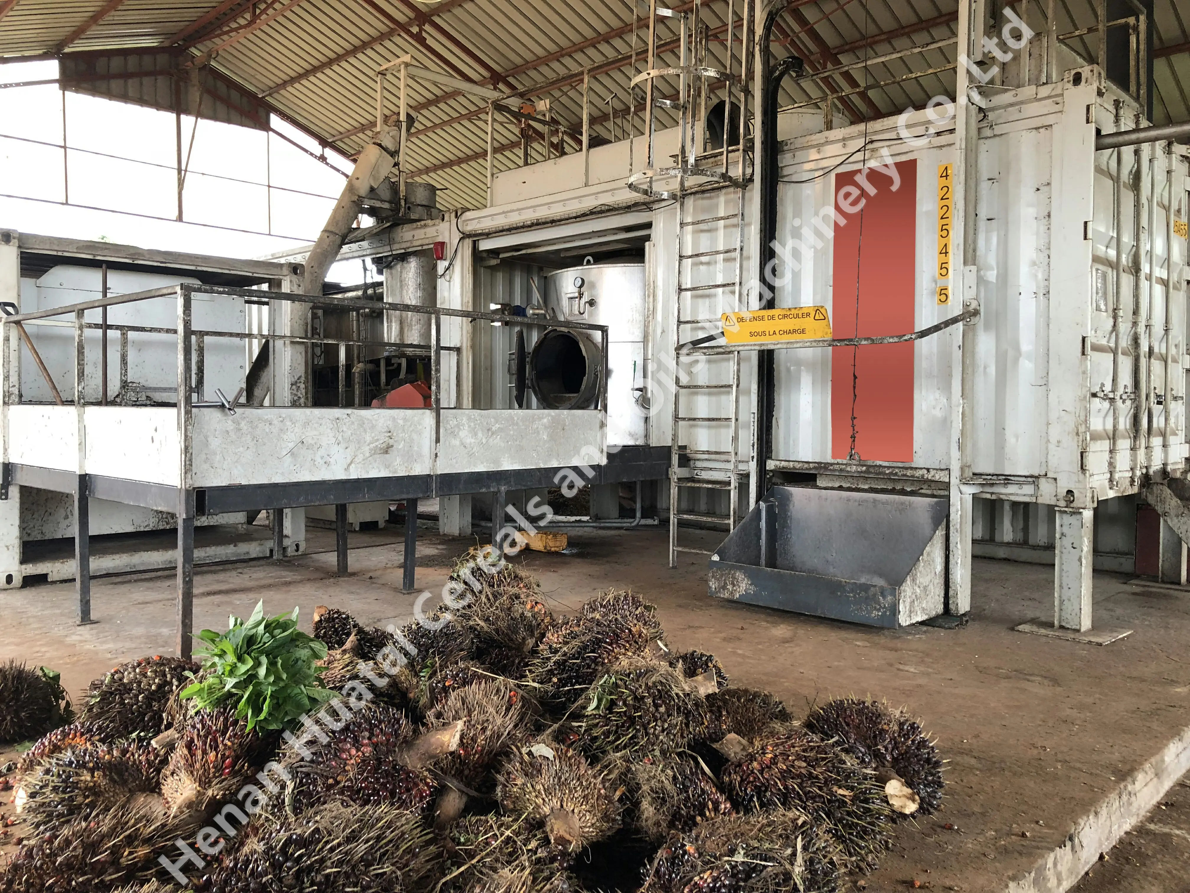 Fresh Palm Fruit Processing Equipment - Efficient & Reliable