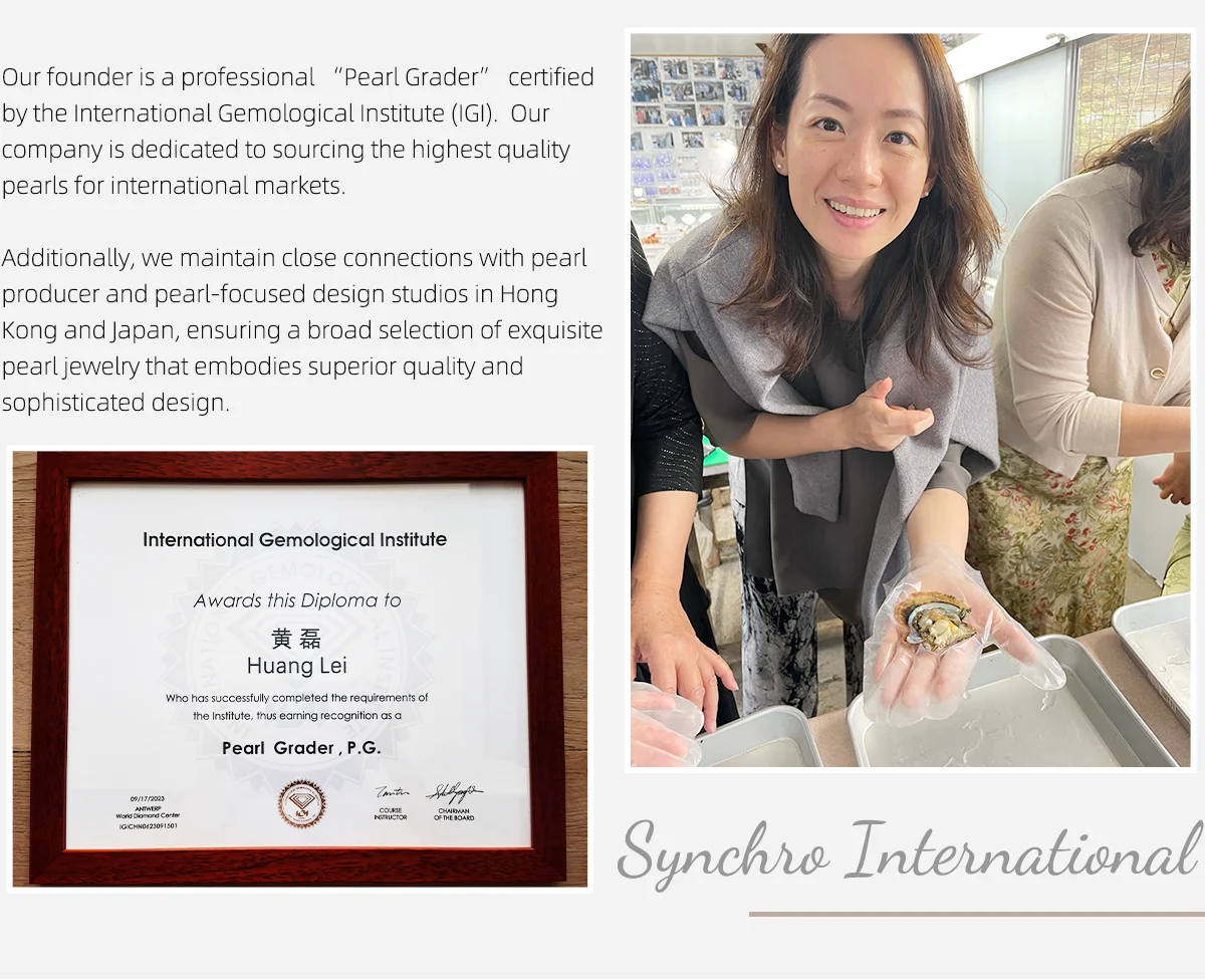 Company Overview - Shanghai Synchro International Trade & Service Co., Ltd.