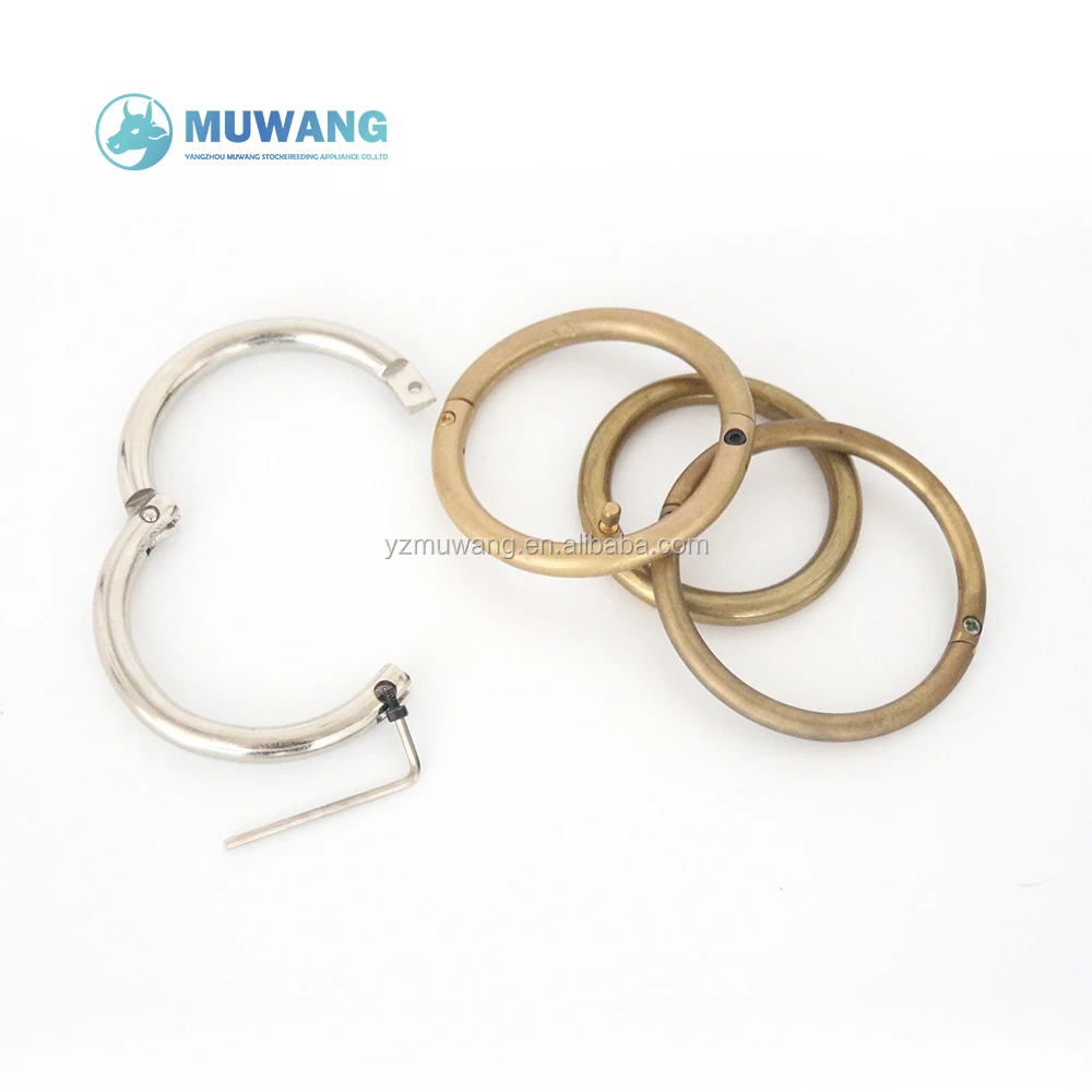Ox Bull Rings Bull Nose Rings - Buy Bull Rings,Bull Nose Rings,Animal ...