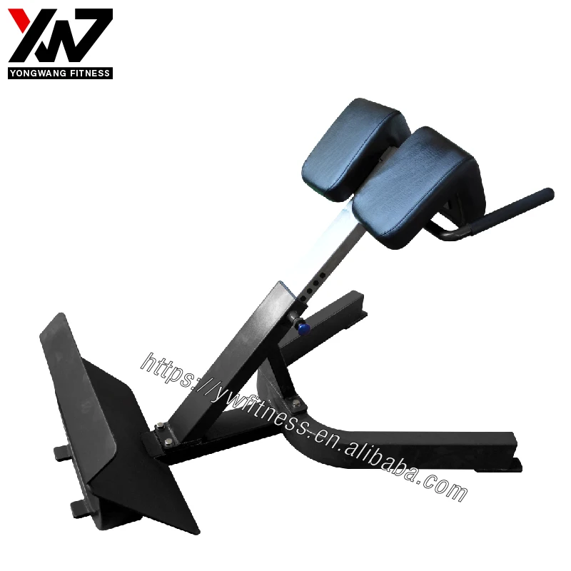 Commercial Fitness Equipment - Back Extension Roman Chair