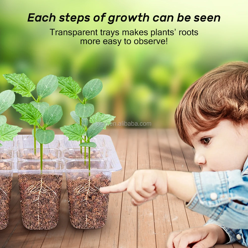 12 Cells Plastic Seed Tray Germination Vegetable Nursery Plant ...