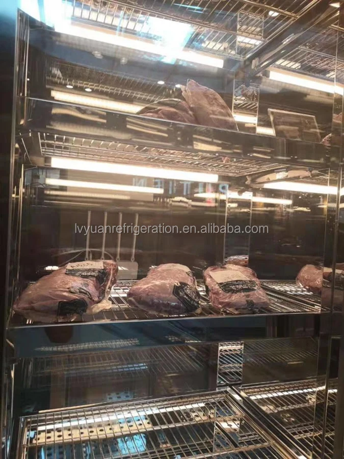 Beef Restaurant Dry Aging Chiller - Perfect for Meat Ager