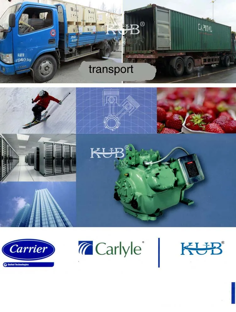 06DR241BCC06C0 Carrier Compressor - Efficient Container Solutions