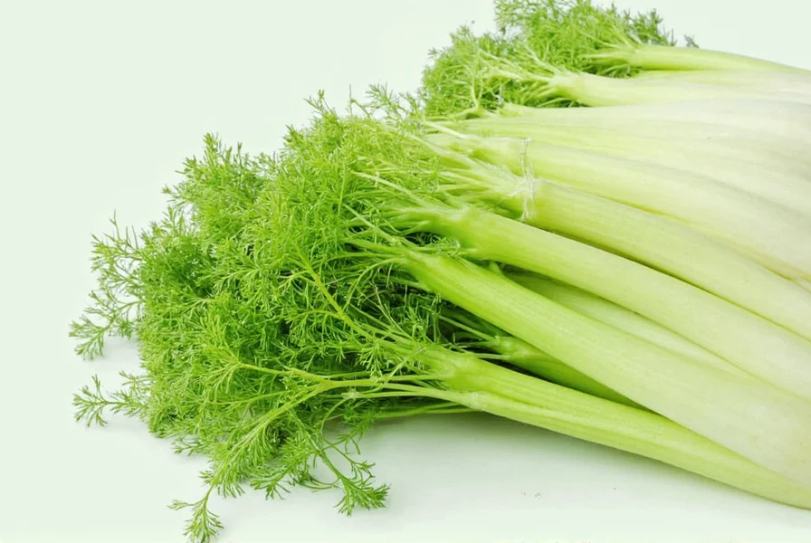 Fennel Seeds in Cooking: Uses, Wild vs Commercial & Pro Tips