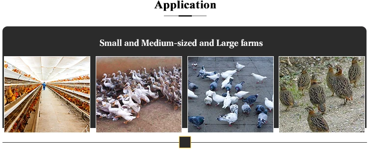 Poultry Chicken Eviscerating Table for High Productivity