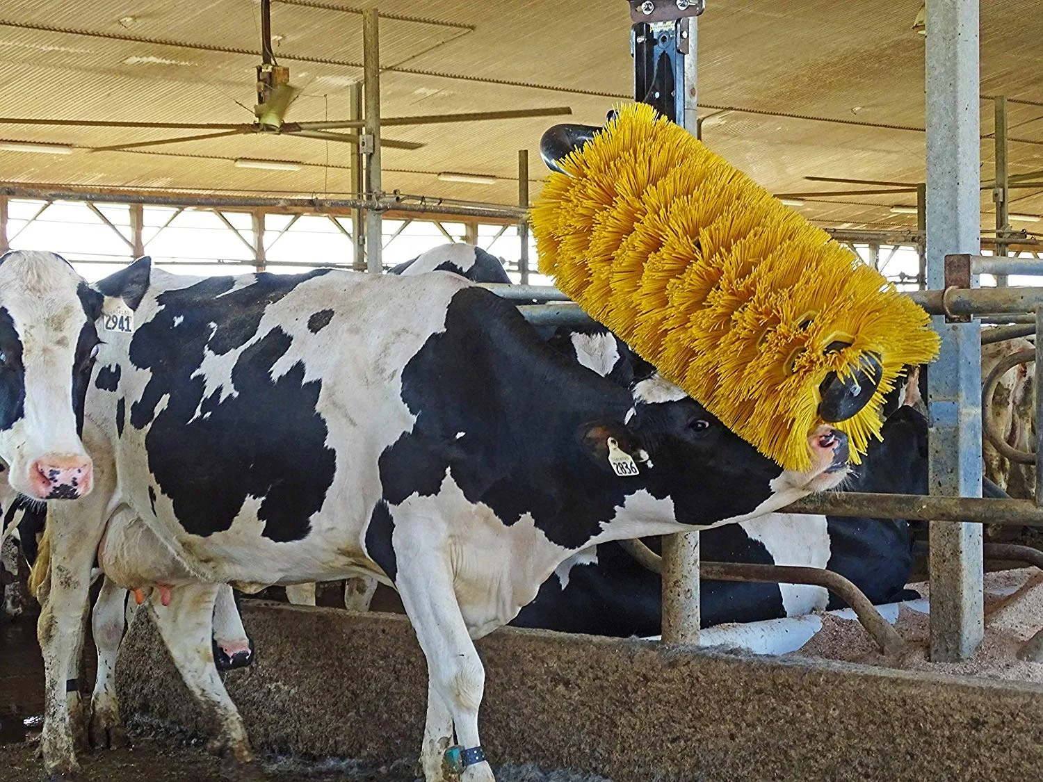 Chinese Manufacturer Customizable Automatic Cow Cattle Scratch Brush ...