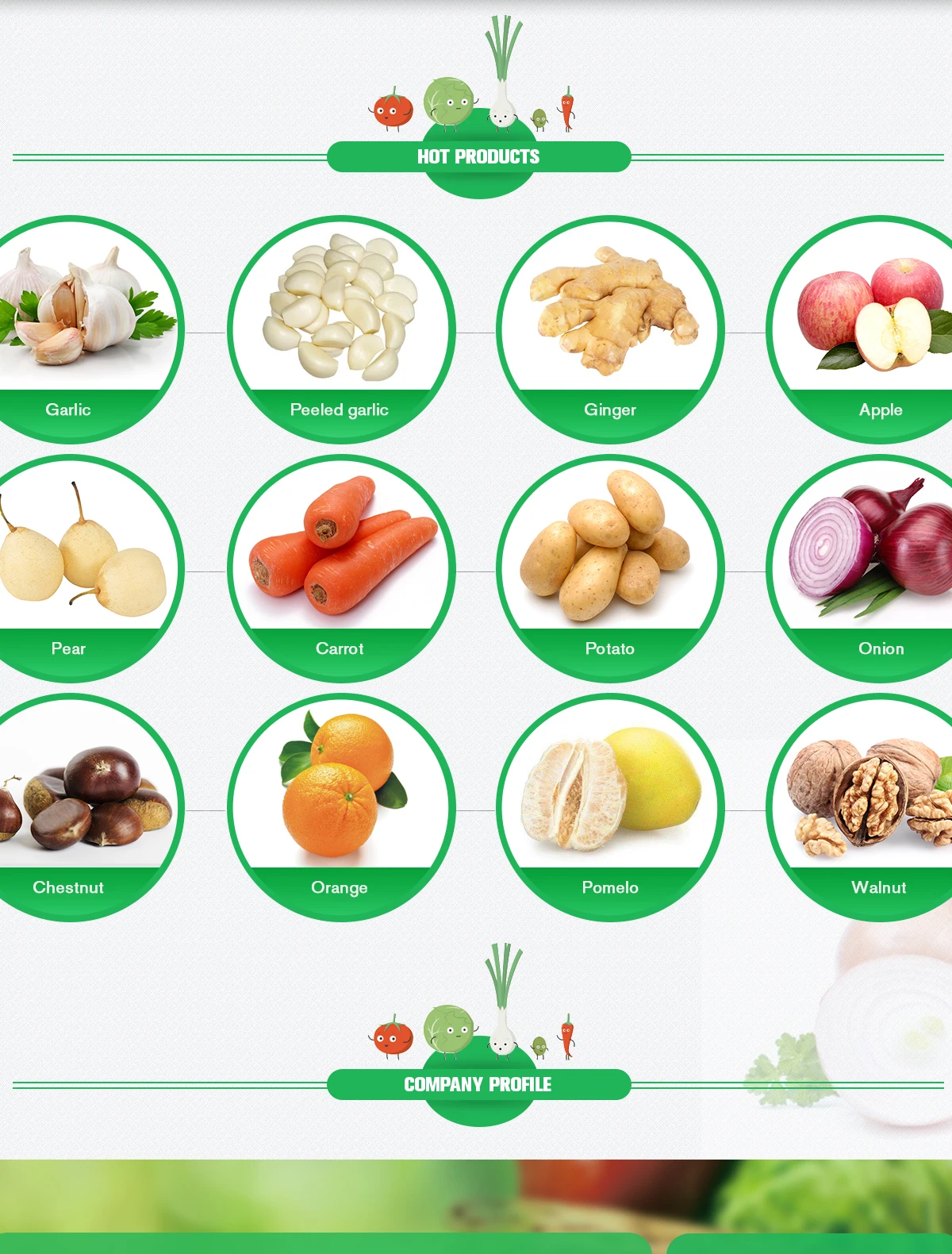 Jining New Silk Road Food Co., Ltd.