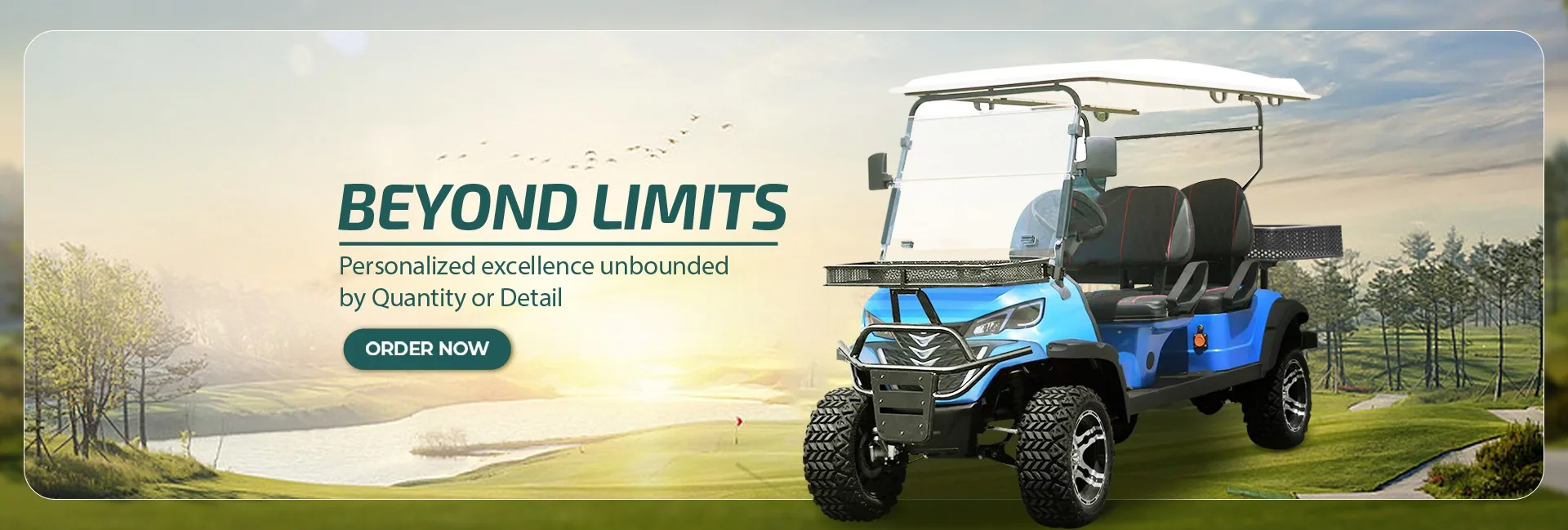 Shanghai Dachi Auto Power Co., Ltd. - Golf Cart/Low-Speed Electric Car ...