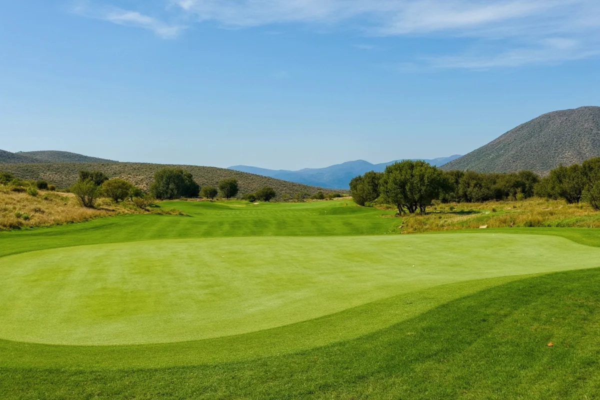 What Does Golf Stand For? Debunking the Myth