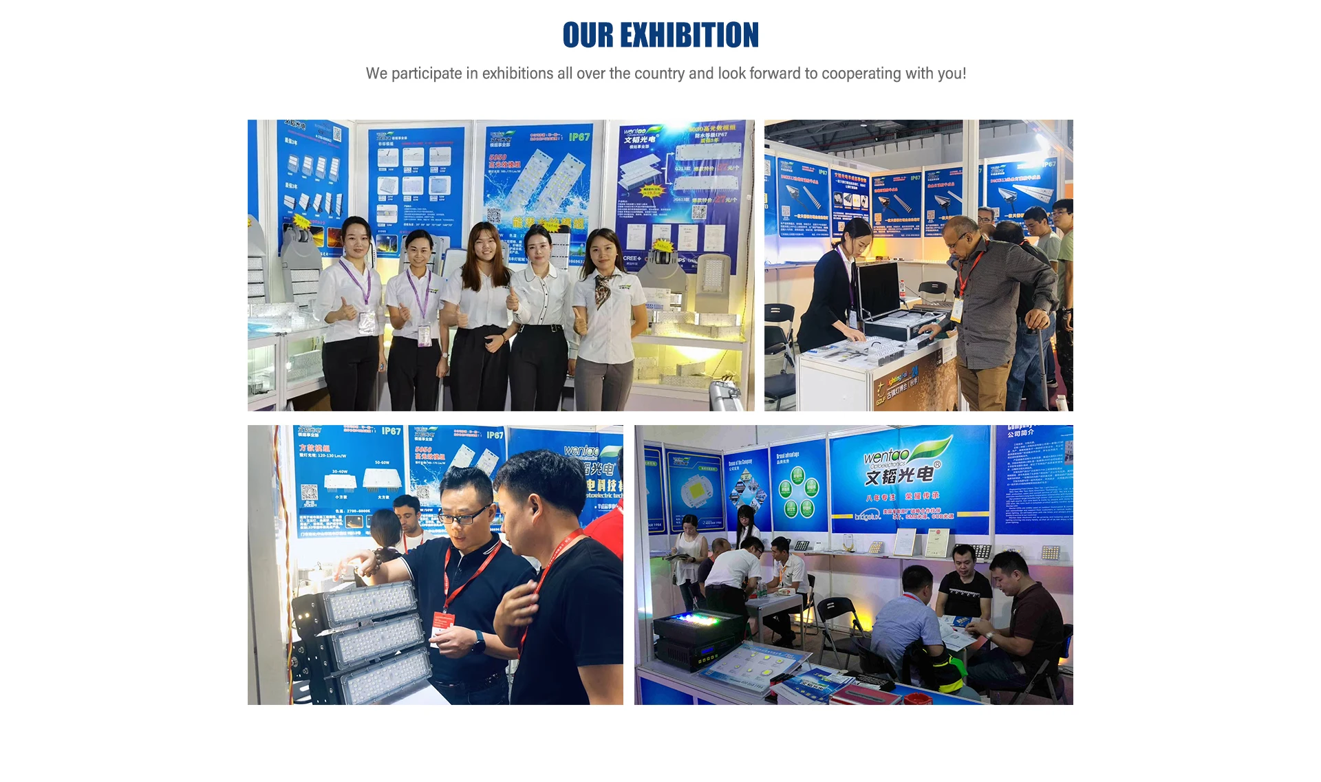 Company Overview - Guangdong Wentao Optoelectronics Technology Co., Ltd.