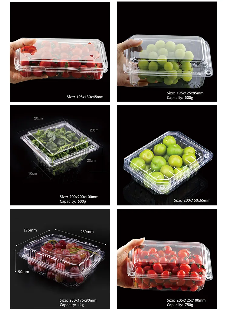 Fruit Box Container 500g Disposable Food PET Transparent Customized BT ...