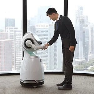 Company Overview - Ubtech Robotics Corp Ltd.