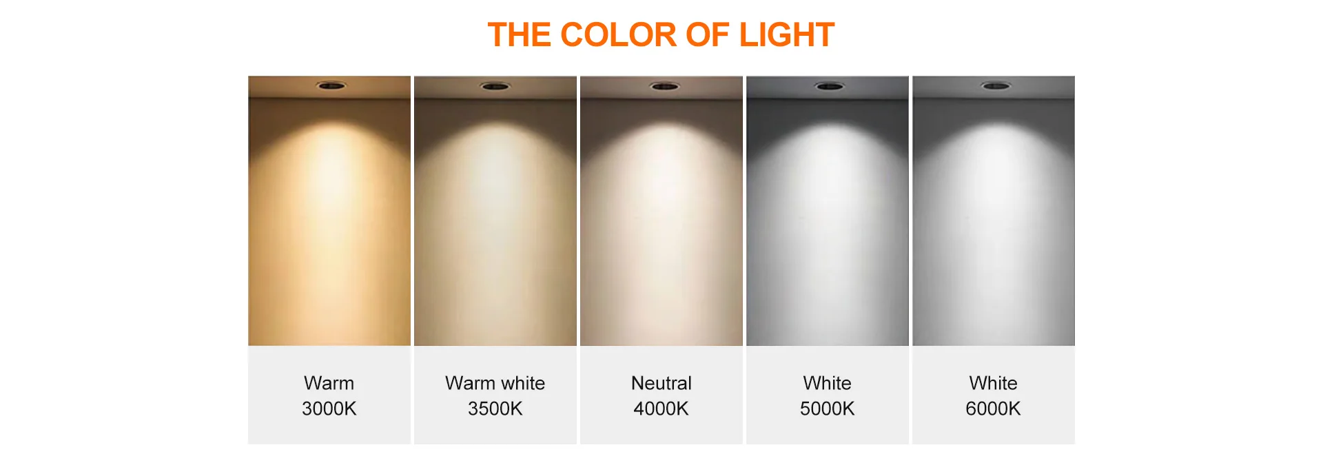 Company Overview - Zhongshan Weiyi Lighting Co., Ltd.