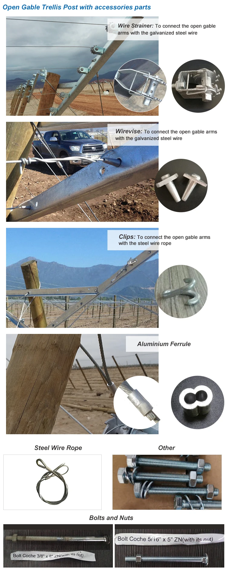 Y Shaped Open Gable Trellis System for Vineyard Success