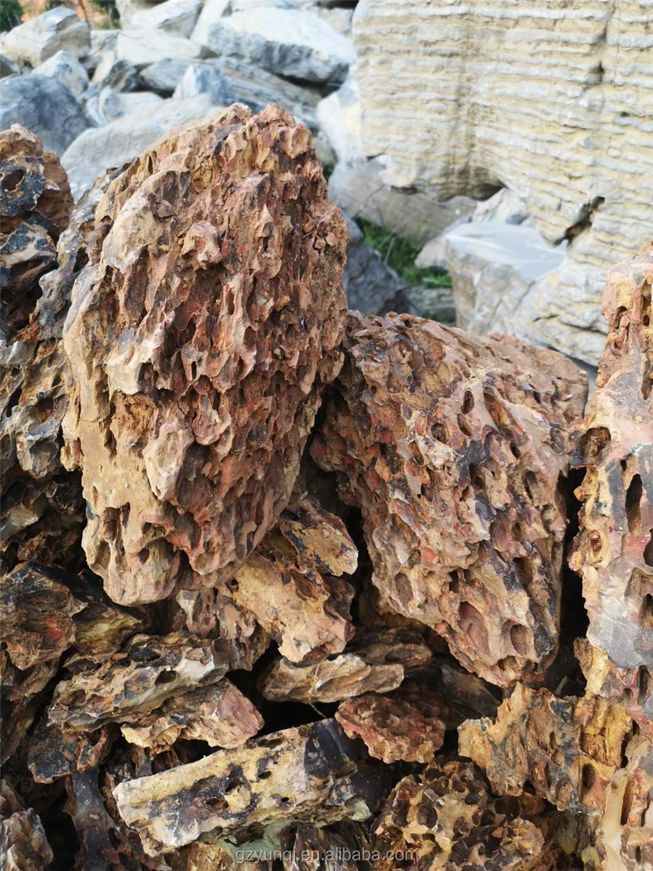 8-25cm Brown And Red And Yellow Dragon Bone Stone Decorative Stone For ...