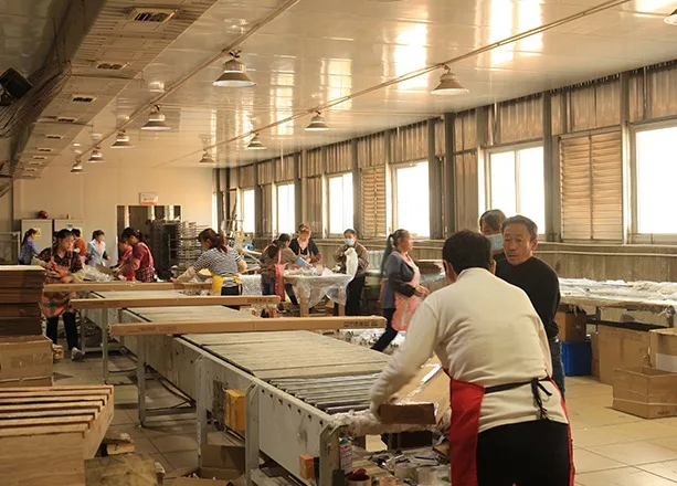 Xiamen Kainan Exhibition Products Co., Ltd. - Wood & Metal Display ...