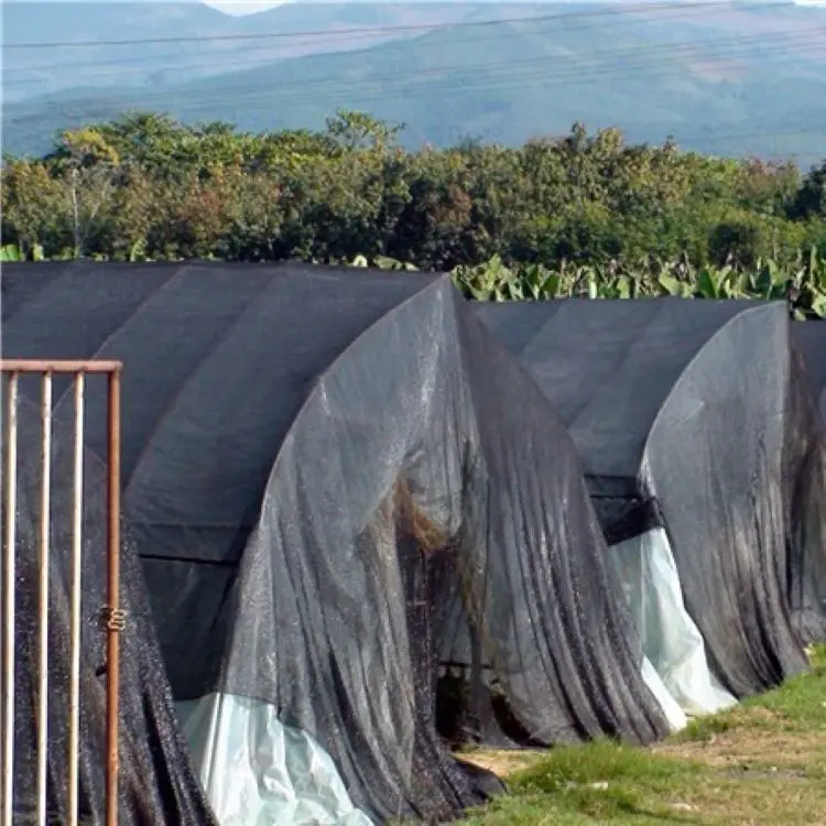 Uv Plastic Nets in Farming Olive Nets in Spain Green Net for Gardens ...