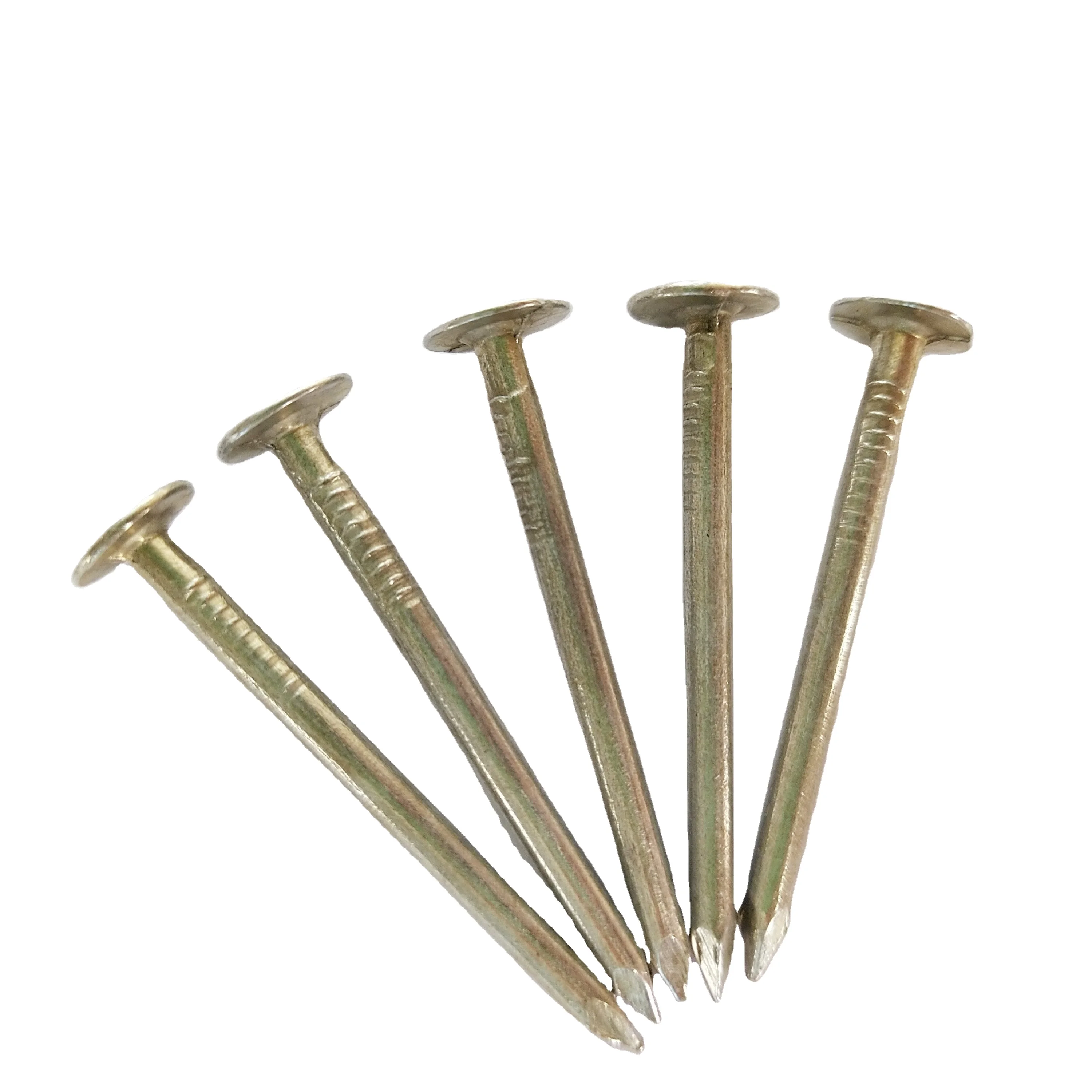 Electro Galvanized Large Head Clout Nail 1"x11G Felt Nail Linoleum Nail ...