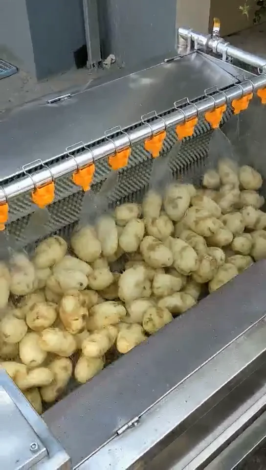 Sugar Beet Washing And Peeling Machine Sweet Potato Washing Machine ...