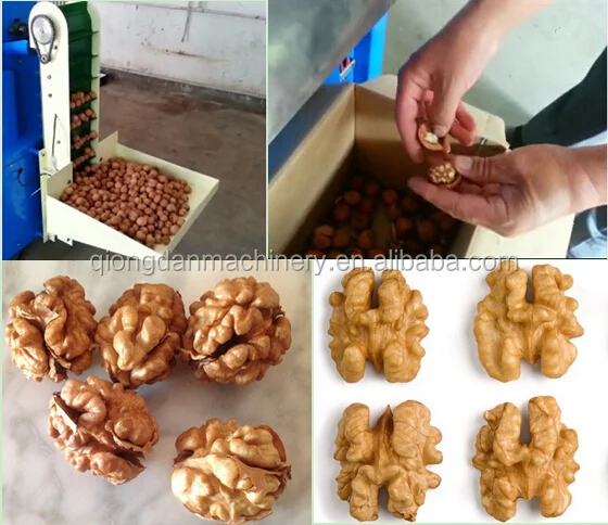 Efficient Pecan Nut Cracking Machine - High Capacity & Low Cost