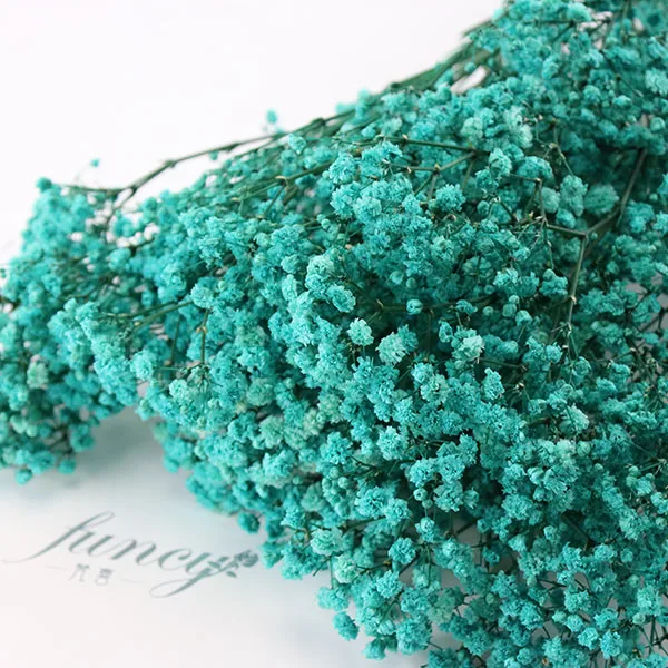Preserved Flowers Babybreath Dried Gypsophila - Buy Gypsophila,Dried ...