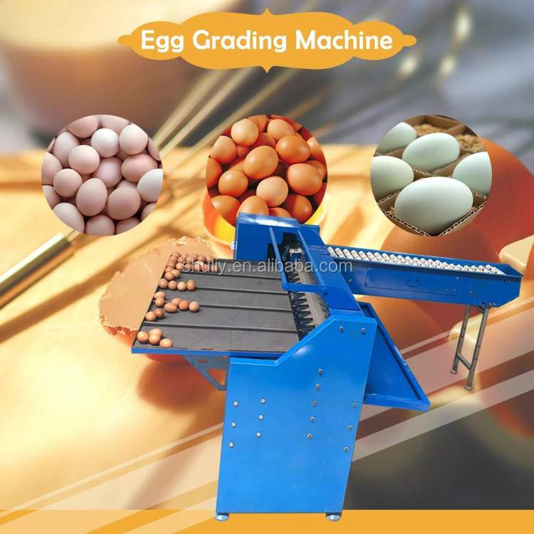 Egg Grading Equipment - Efficient Solutions for Poultry