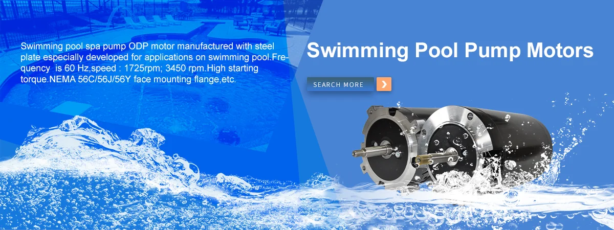 GW Square Flange Electric Water Pool Pump Motor Price