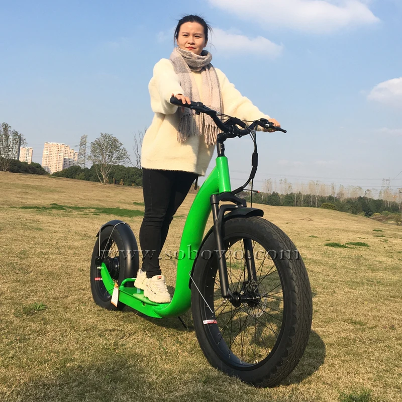 Sobowo Brand Electric Bike 750W - Big Power & Fat Tires