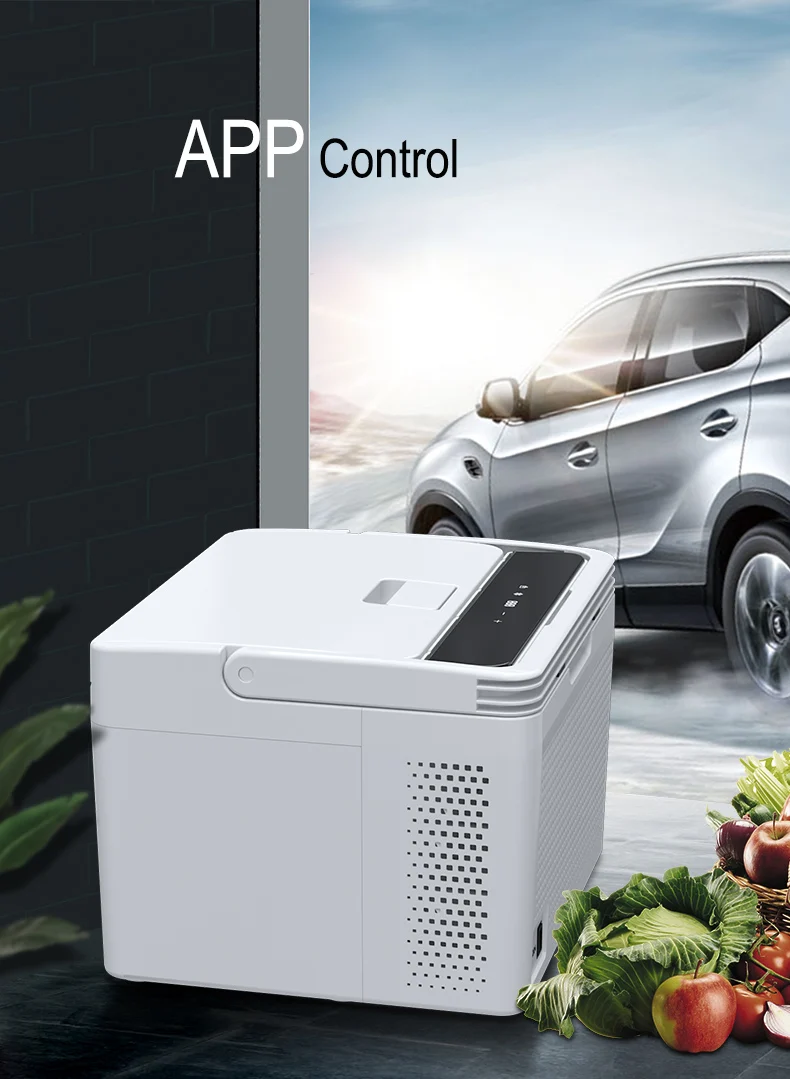 10l Portable Mini Compressor Car Freezer With Heating And Cooling ...