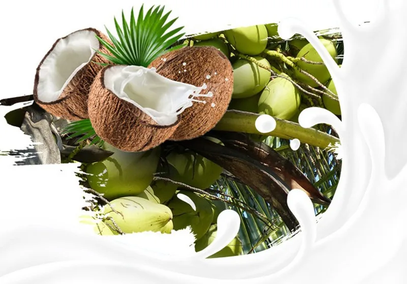 Coconut Desheller Shelling Machine - Efficient & Durable