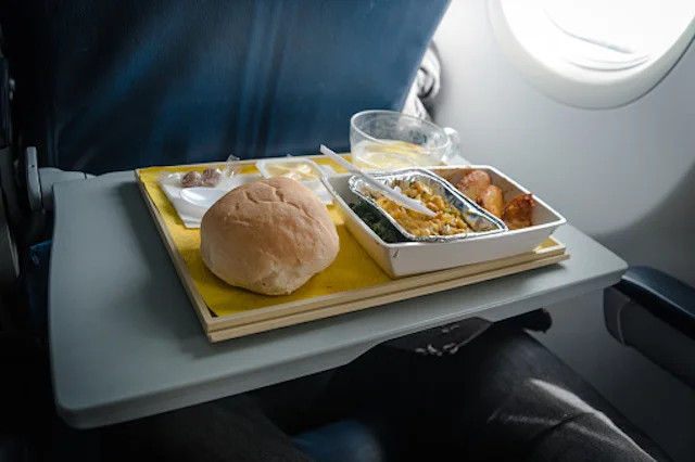White Heat Resistant Airline Casserole - Reusable Thermal Food ...