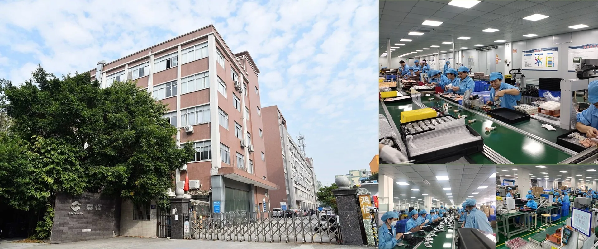 Guangzhou Aijie Intelligent Technology Co., Ltd. - Electric toothbrush ...