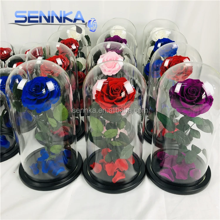 Chinese Red Preserved Rose Stem In Glass 10cm Huge Rose Bud Single Rose ...