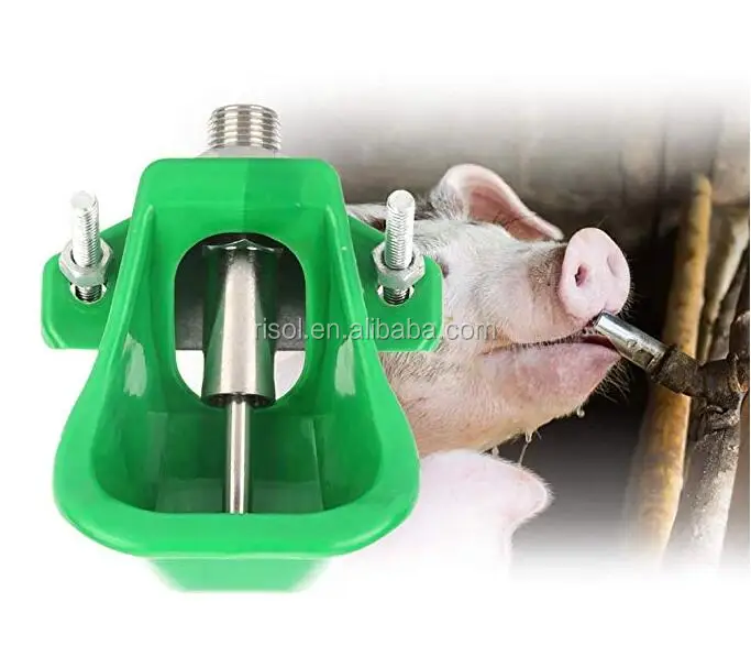 1/2'' Stainless Steel Piggy Water Drinker Nipple for Nipple Drinker Pig ...