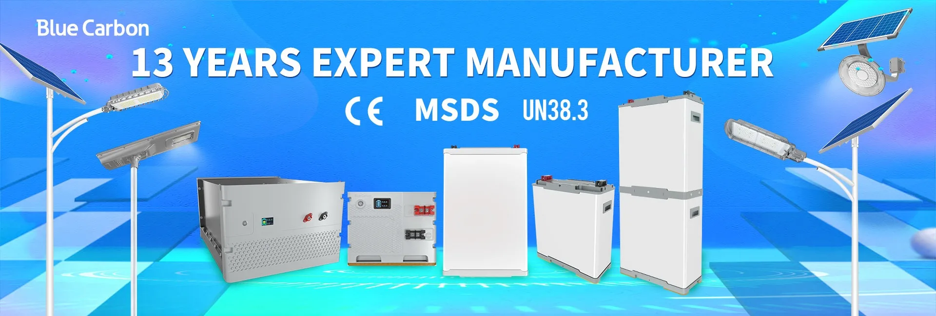 Blue Carbon Technology Inc. - Solar Garden Light/Solar Ceiling Light ...